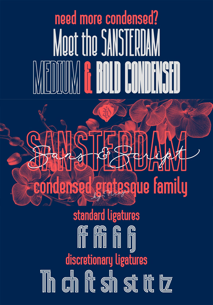 Sansterdam Font FREE download - Gooova Fonts